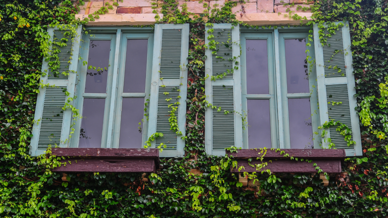 4 Reasons to Replace the Windows in Your Home Now | Sunshine Home ...
